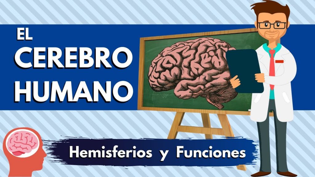 ¿Cómo aprende el cerebro? Aprende con Neuroeducación por Luis Bretel ... ¿Cómo aprende el cerebro? Aprende con Neuroeducación por Luis Bretel ...